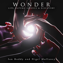 WONDER [KDW0739] | Extreme Music