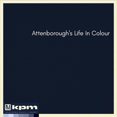 Attenborough's Life In Colour [KPM2248] | Extreme Music