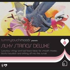 Silky Strings Deluxe [MHN0064] | Extreme Music