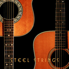 Steel Strings [OMN0090] | Extreme Music
