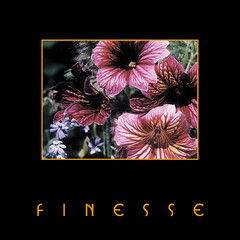 Finesse [OMN0092] | Extreme Music